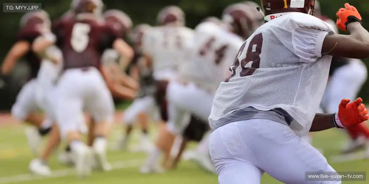 认识雨燕直播 | 雨燕直播平台-雨燕直播全球体育赛事直播与分析平台_yuyan